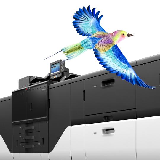 Production Print Solutions - Kyocera Document Solutions Canada